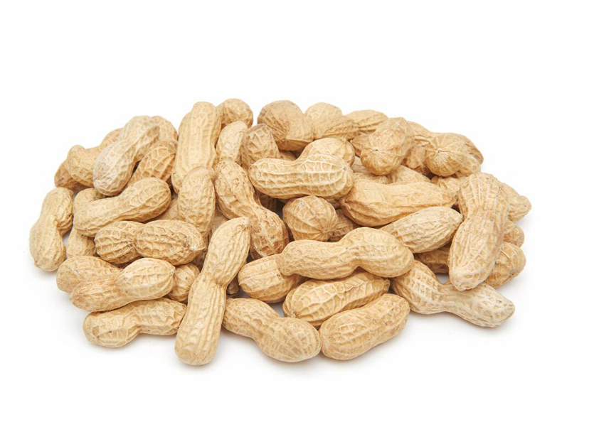 Sino Wealth Biotechnology Co.,Ltd.